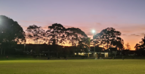 Hills Football Association | Empowering Grassroots Football in Sydney